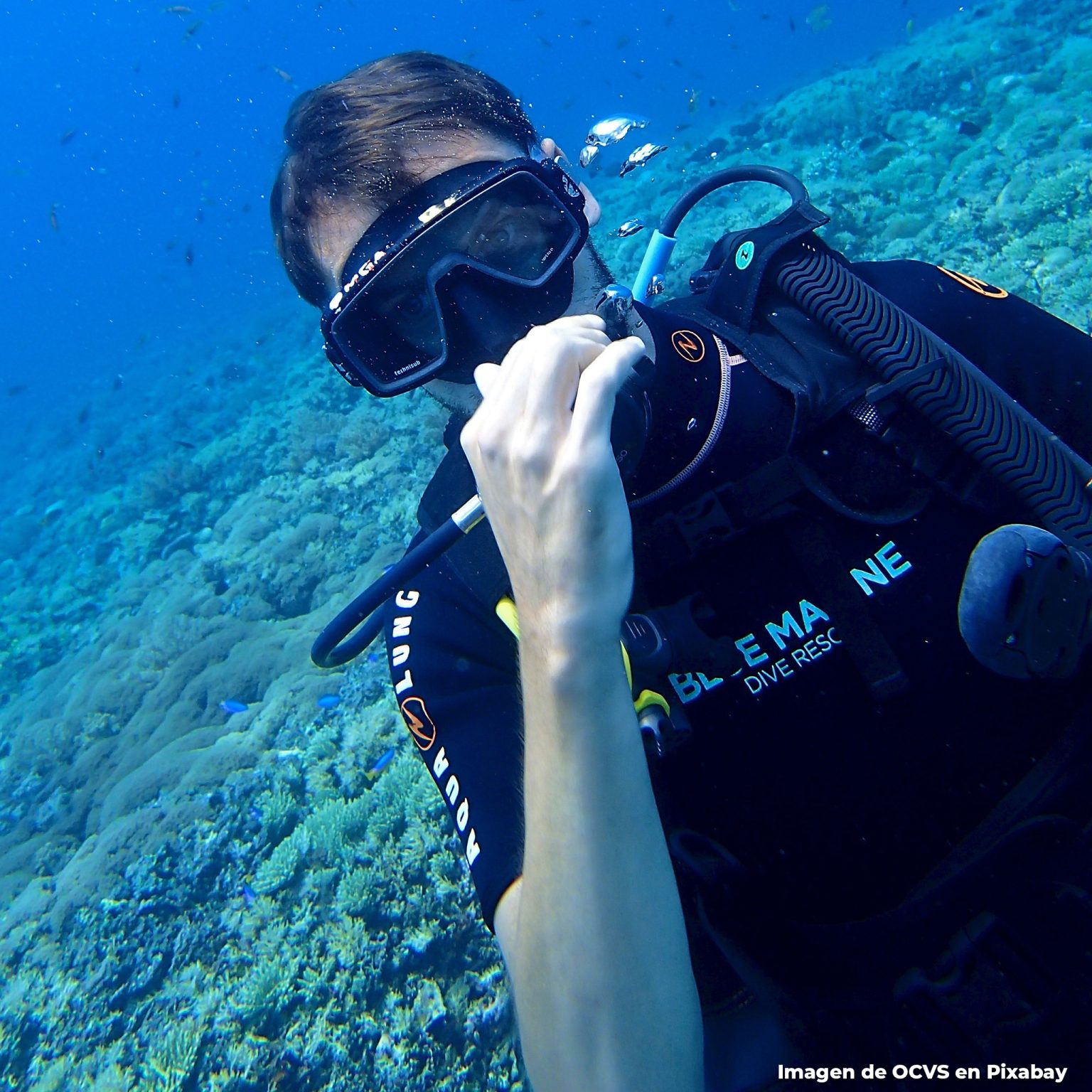 Home - GALAPAGOS SCUBA DIVING SCHOOL